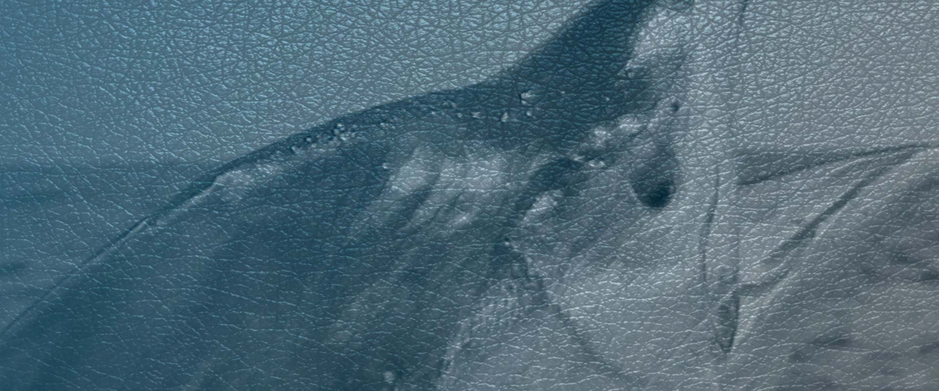 Cairns Professional Game Fishing Association | North Queensland – Australia